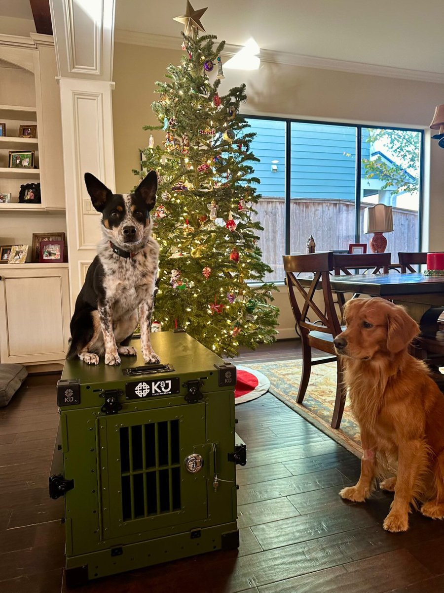 Holiday Cheer for Your Furry Friend – K&J Custom Dog Crates