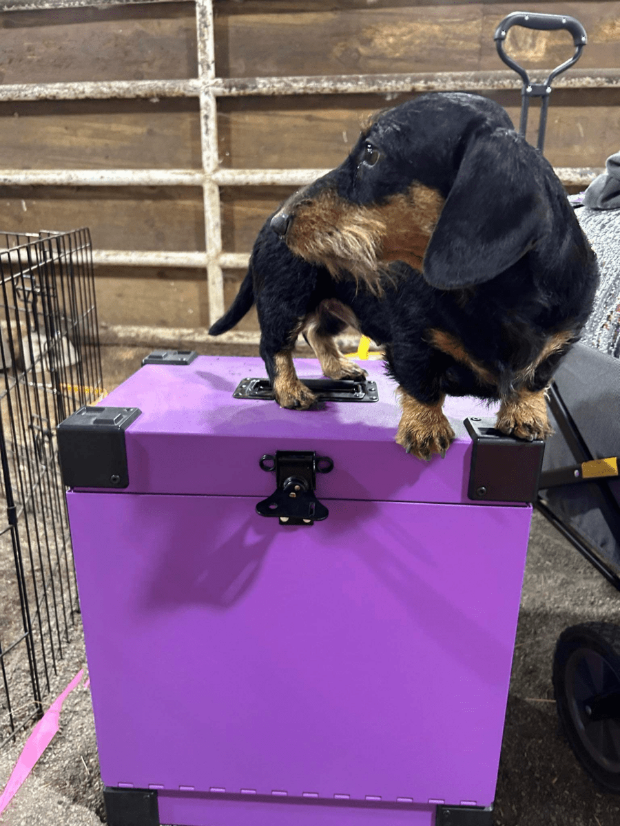 Tack Boxes - K&J Custom Dog Crates