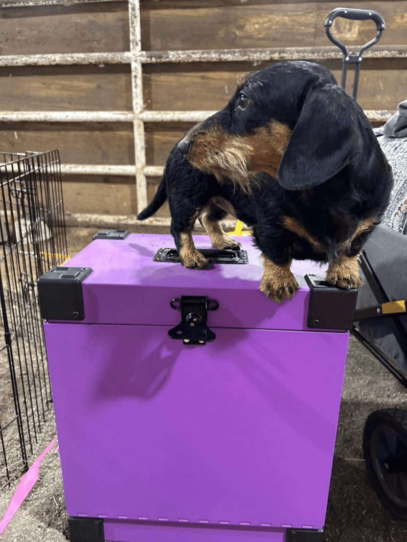 Wheeled trolley for collapsible crates - K&J Custom Dog Crates