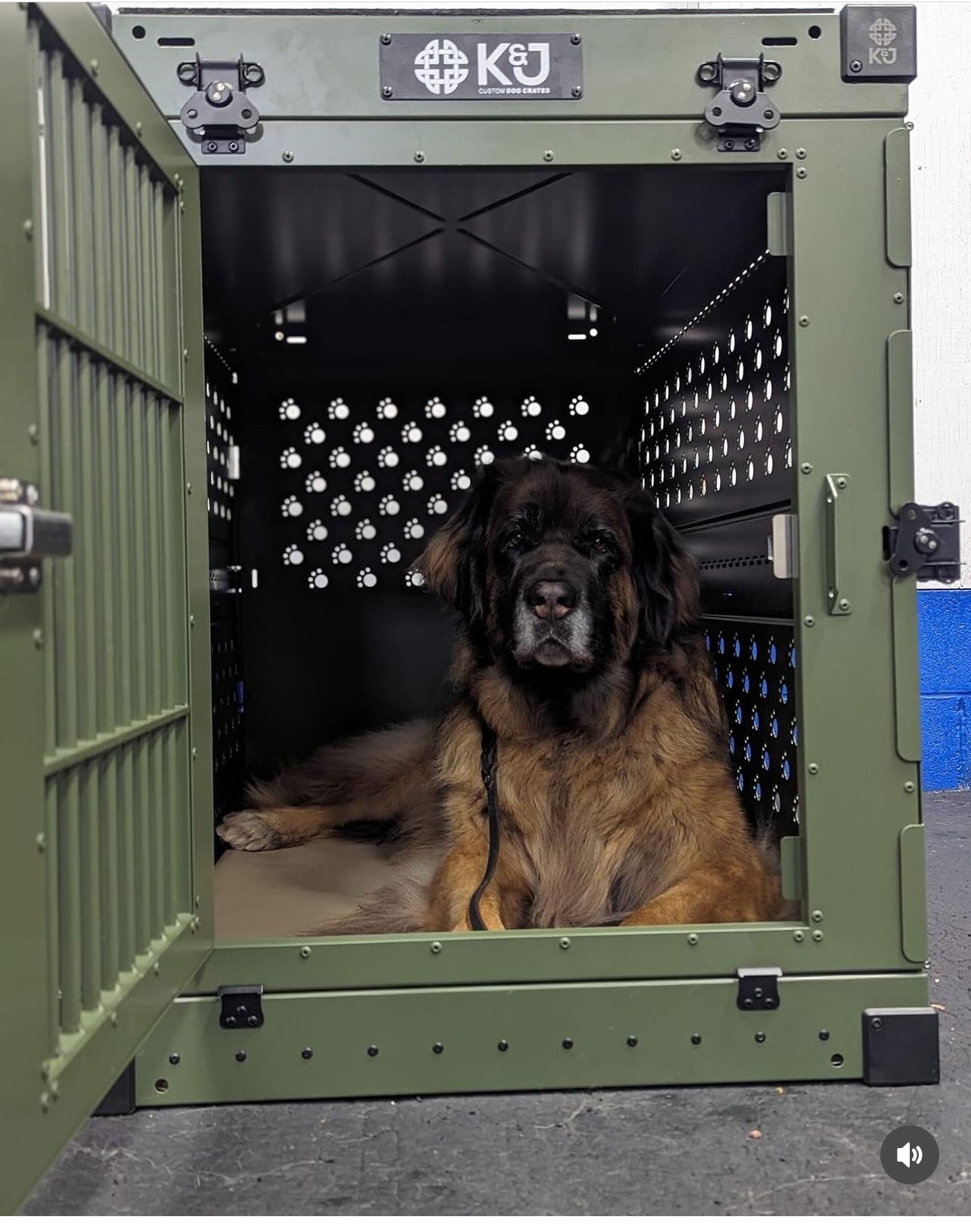 Collapsible Dog Crate K&J Custom Dog Crates
