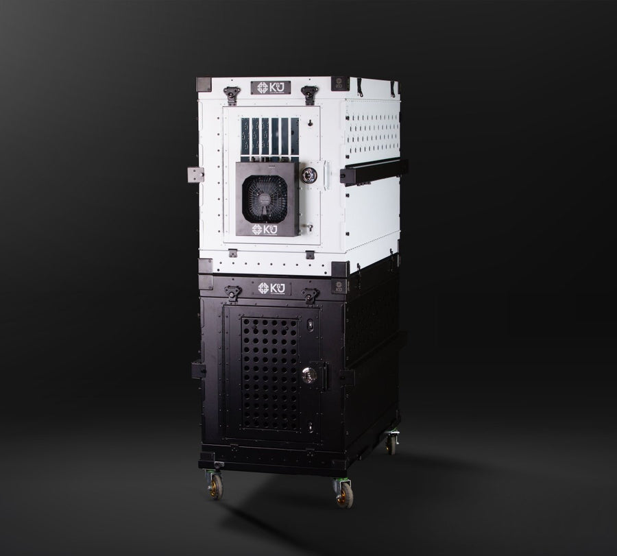 Premium Collapsible Dog Crate | IATA Compliant – K&J Custom Dog Crates