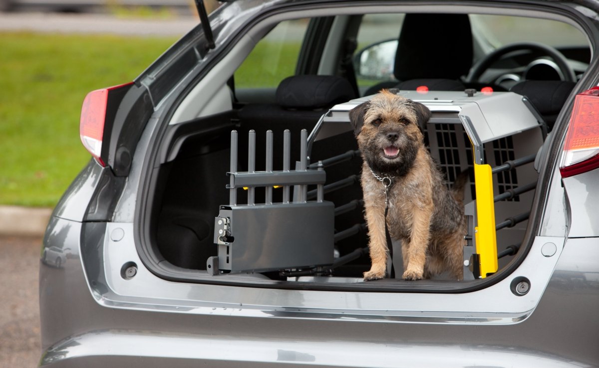 Crash Tested - MIM Safe VarioCage Compact - K&J Custom Dog Crates