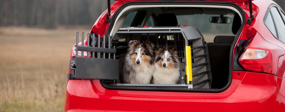 Crash Tested - MIM Safe VarioCage Compact - K&J Custom Dog Crates